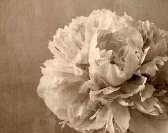 Sepia photography | Etsy