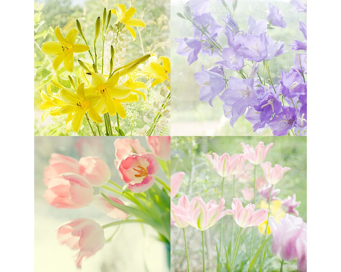 Floral Art Print Set of 4 Ethereal Art Flower Photography - Etsy