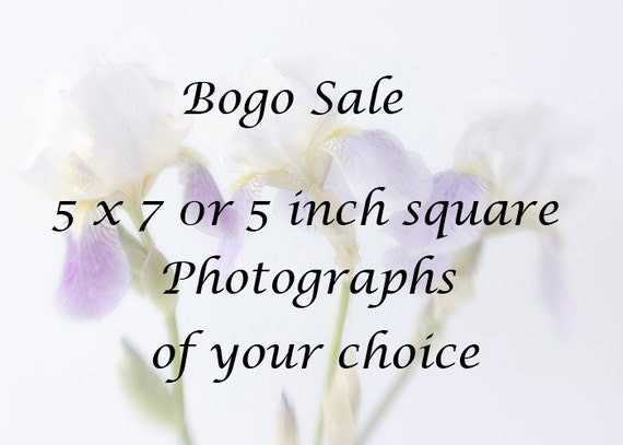 5 x7 or 5 inch Square Prints Bogo Sale Photos of Your | Etsy