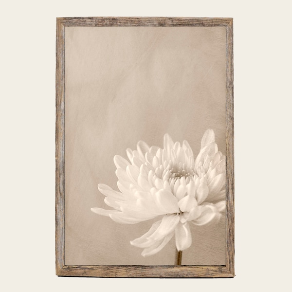 Sepia Flower - Etsy