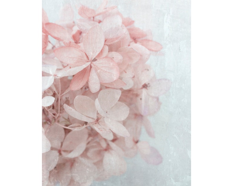 Pink Hydrangea Botanical Print Set of 3 Flower Tryptic - Etsy
