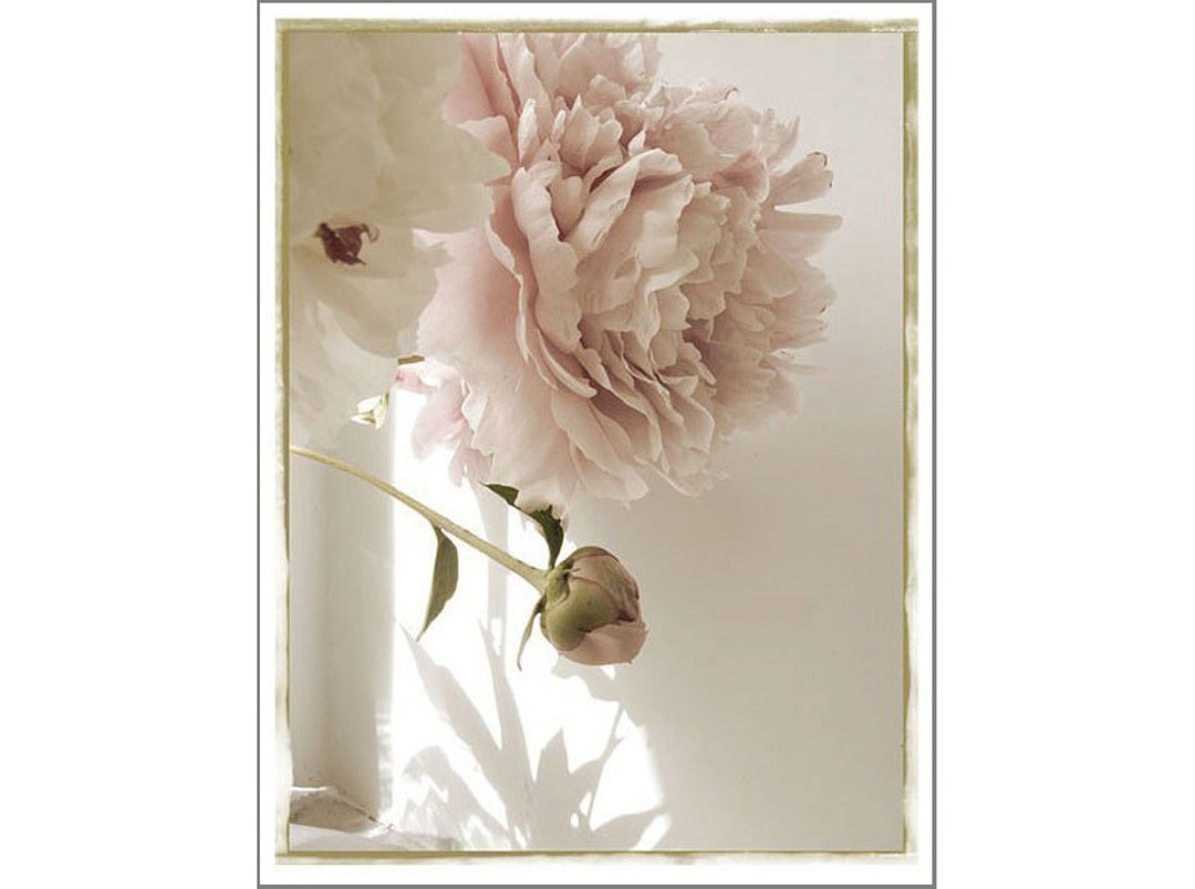 Pink Peony Note Card With Envelope, Blank Flower Greeting Card - Etsy