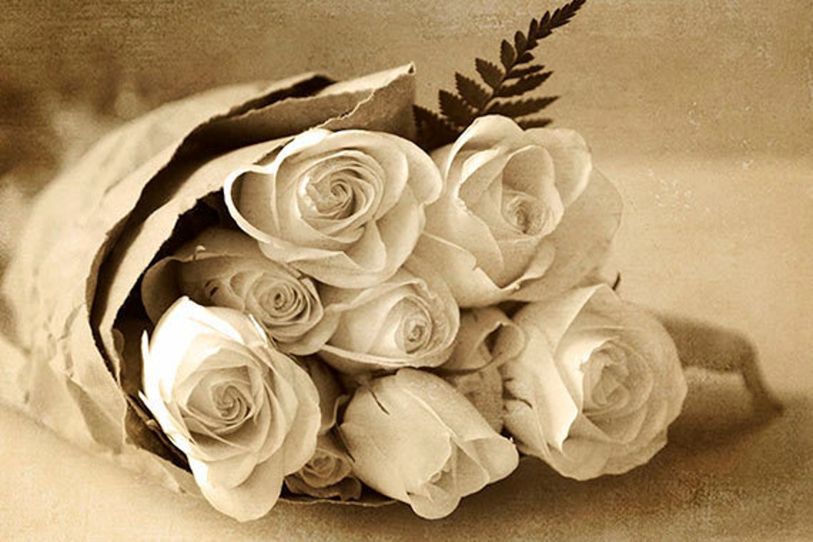 Sepia Rose Photograph Rose Still Life Wall Decor Rose Photo | Etsy