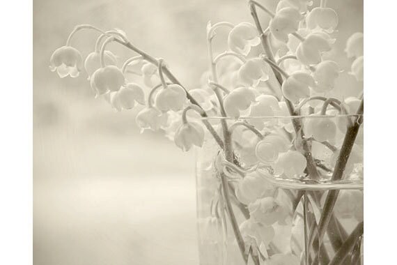 Lily of the Valley Sepia Flower Photography Botanical Art | Etsy