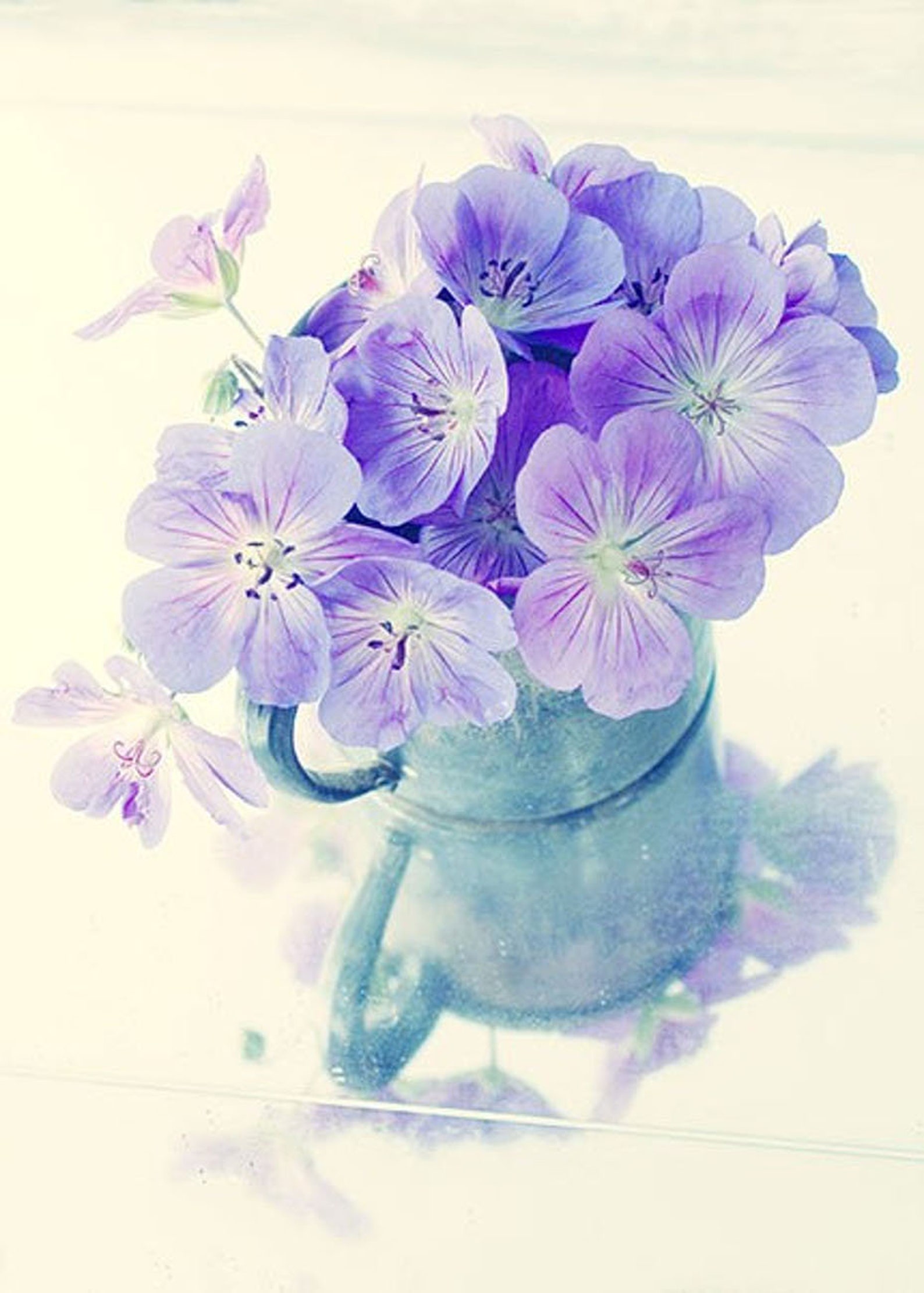 Purple Flower Card Blank Photo Card With Envelope - Etsy