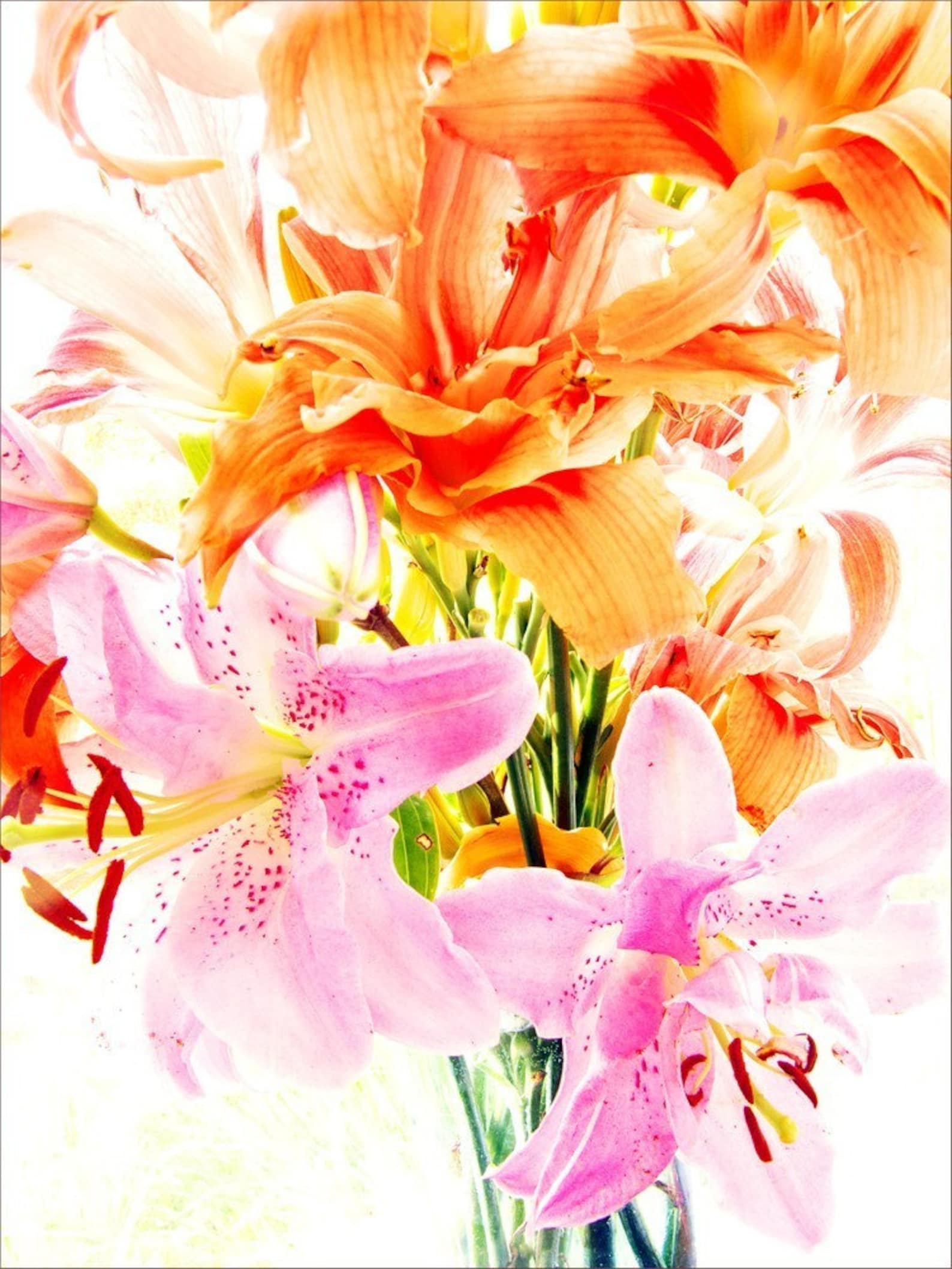 Lily Note Card Floral Greeting Card Fine Art Card - Etsy