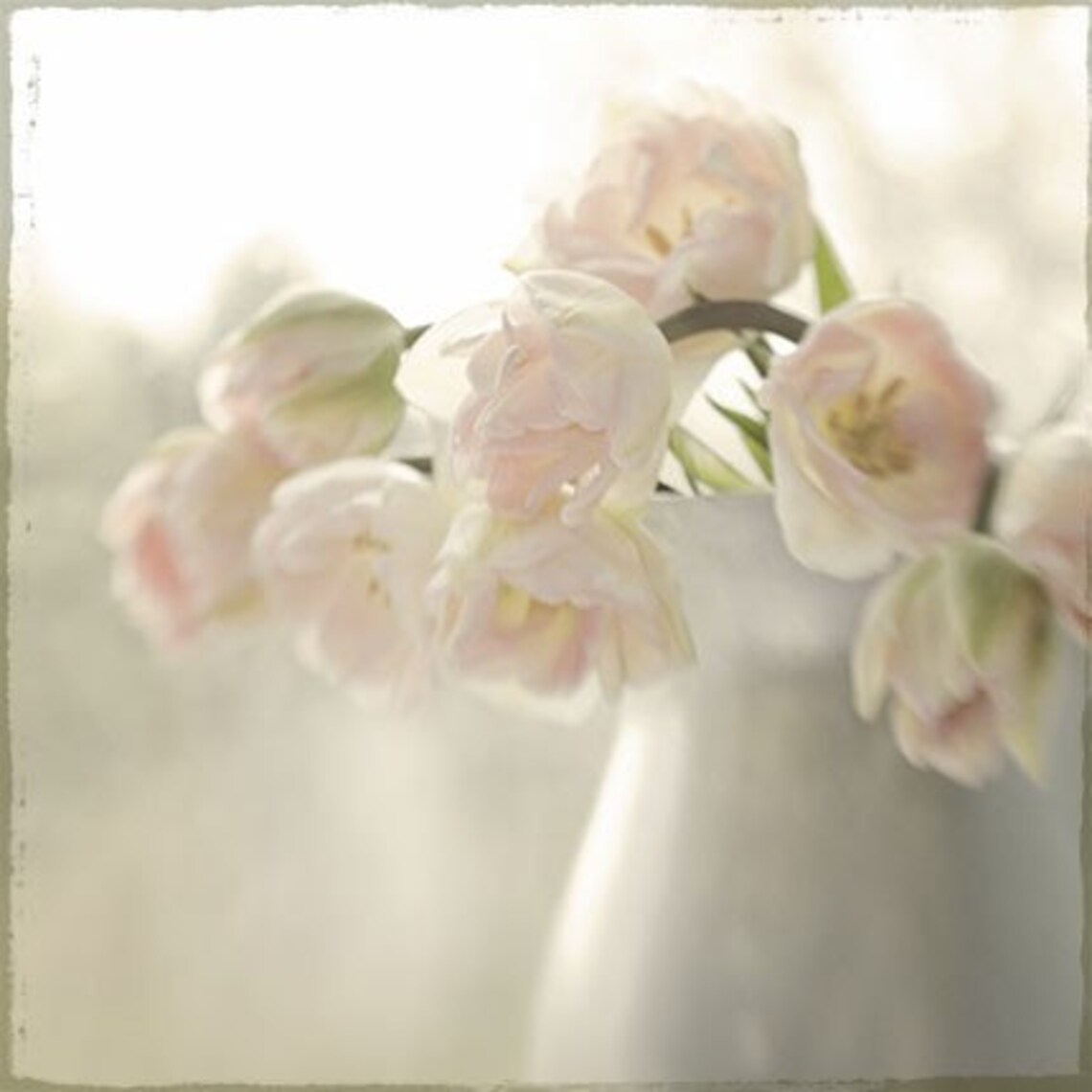 Flower Photographs Set of 4 Shabby Chic Wall Decor Floral - Etsy