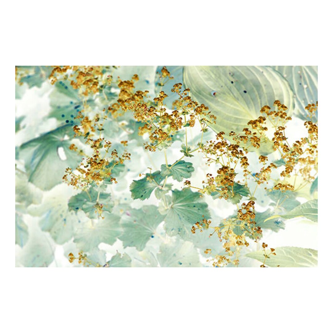 Gold Mint Abstract Photography, Leaf Art Print, Plant Artwork - Etsy