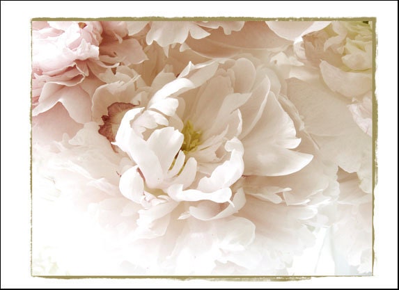 Flower Note Card Set of 6 with Envelopes Gift for Mother | Etsy