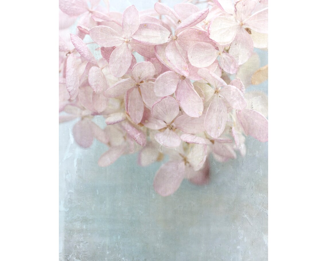 Pink Hydrangea Botanical Print Set of 3 Flower Tryptic - Etsy