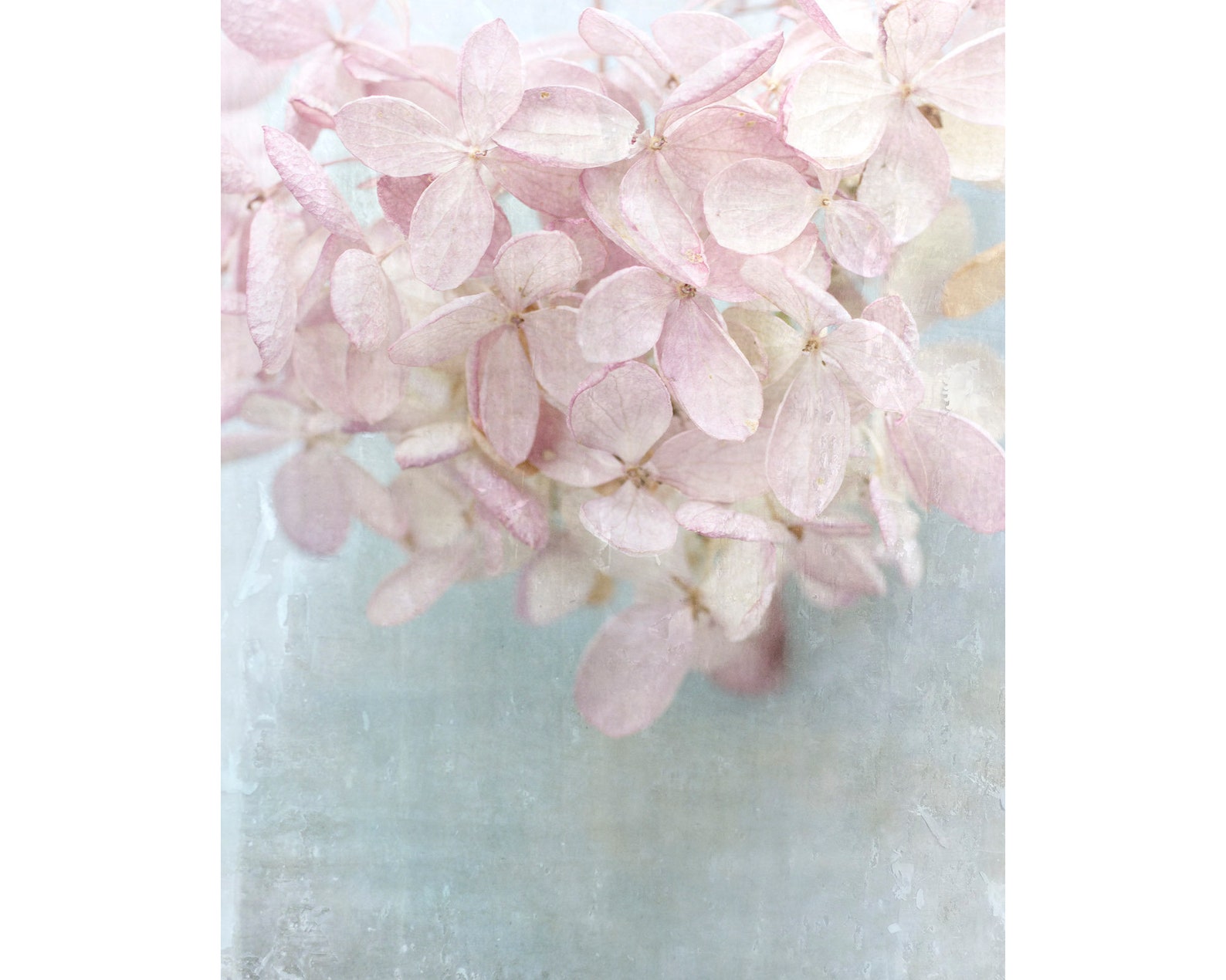 Pink Hydrangea Botanical Print Set of 3 Flower Tryptic - Etsy