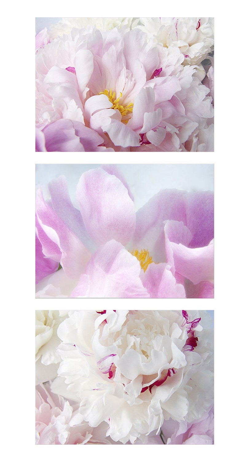 Peony Note Card Set of 3 With Envelopes Gift for Mother - Etsy