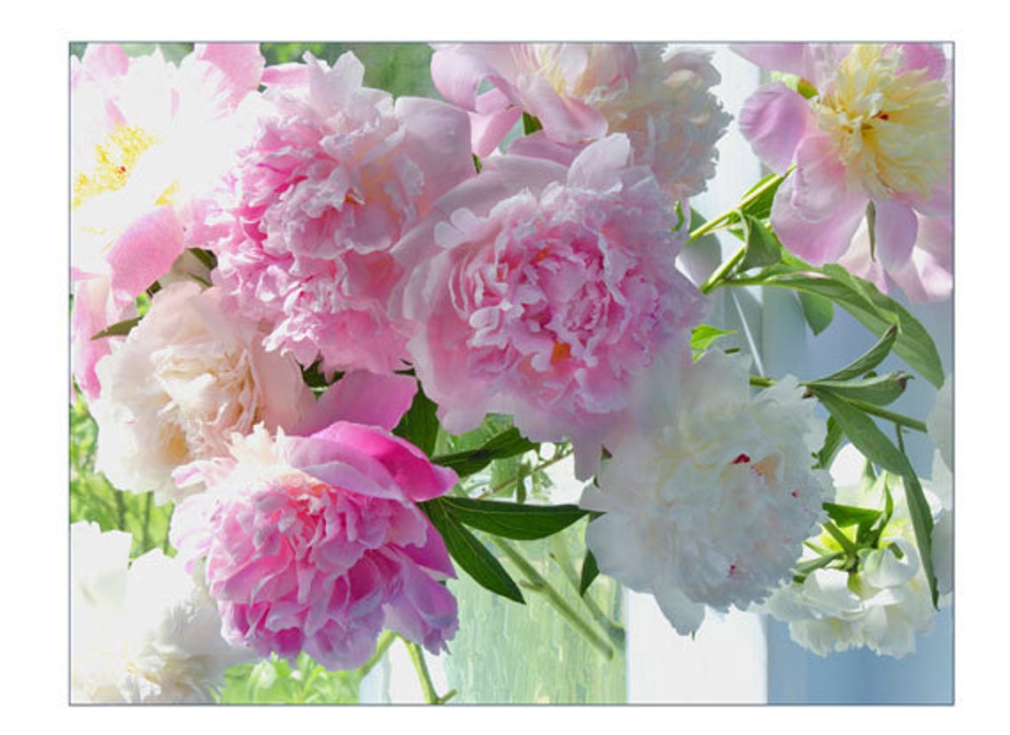 Peony Flower Card Set With Envelopes Gift for Mother Four | Etsy