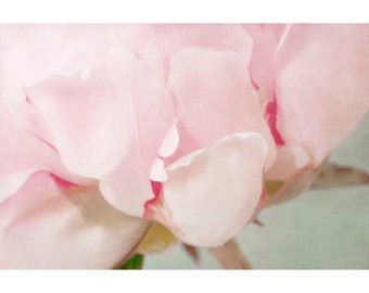 Mint Shabby Chic | Etsy