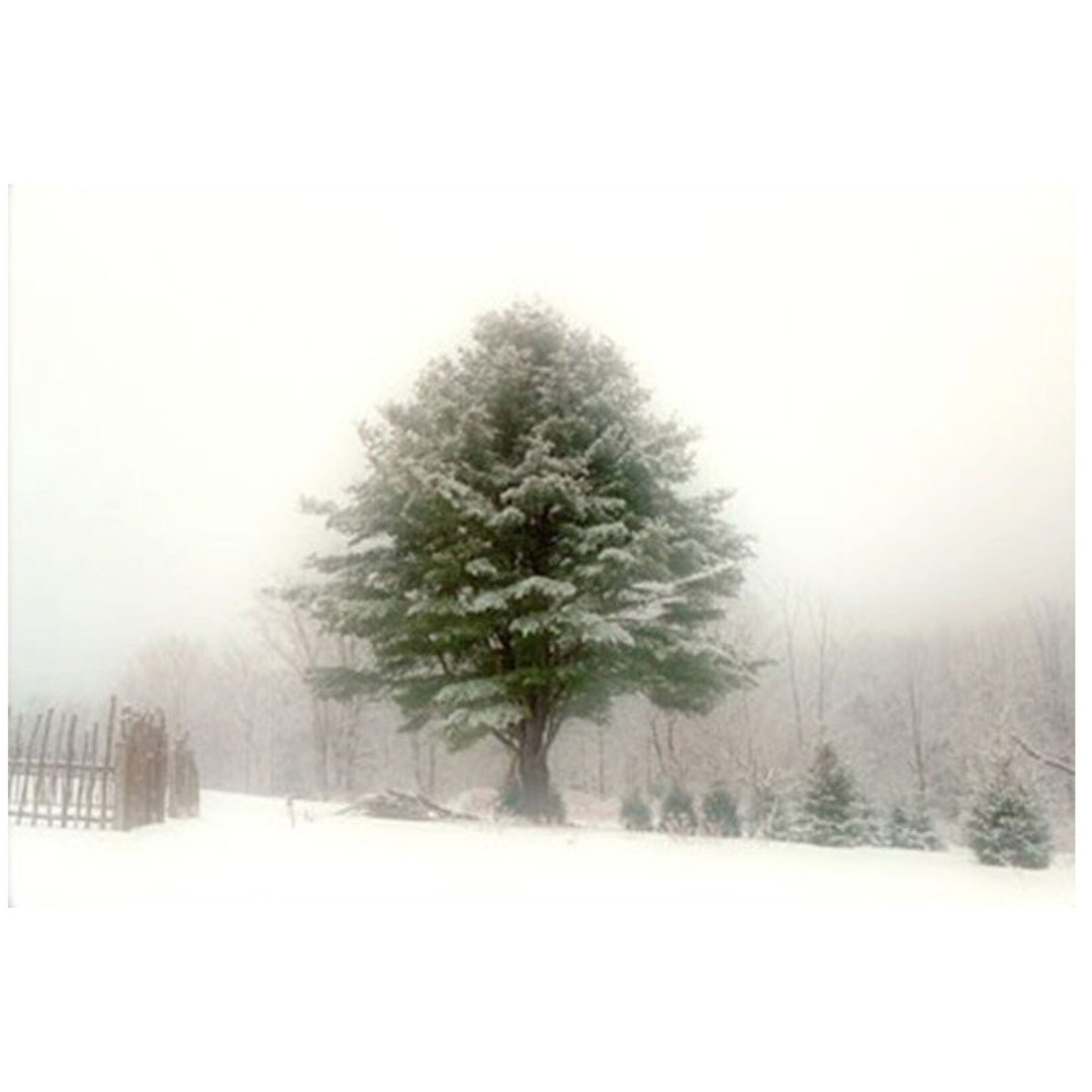 Rustic Decor, Landscape Print, Winter Snow Photograph, Tree Photography ...