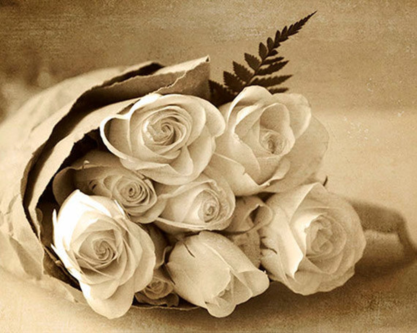 Sepia Rose Photograph Rose Still Life Wall Decor Rose Photo | Etsy