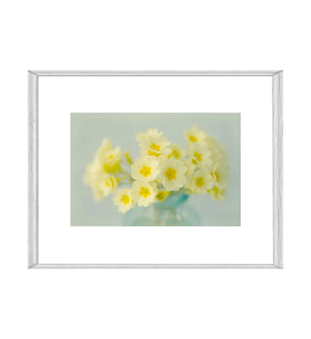 Printable Yellow Primrose Floral Print, My Original Flower Photograph ...