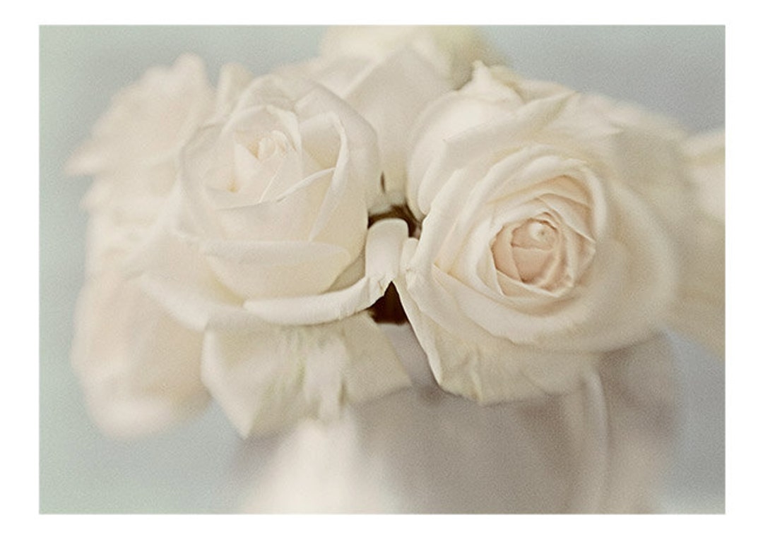 White Roses Photo Card Rose Wedding Card Blank Card Flower - Etsy