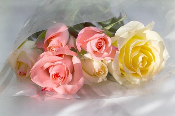 Rose Art Print Flower Photography Bedroom Wall Art | Etsy