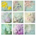 Flower Print Set of 9, Ethereal Flower Art, Flower Photographs - Etsy