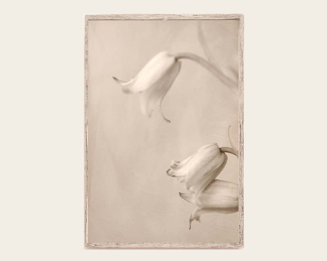 Sepia Flower Botanical Print Modern Farmhouse Rustic Wall - Etsy