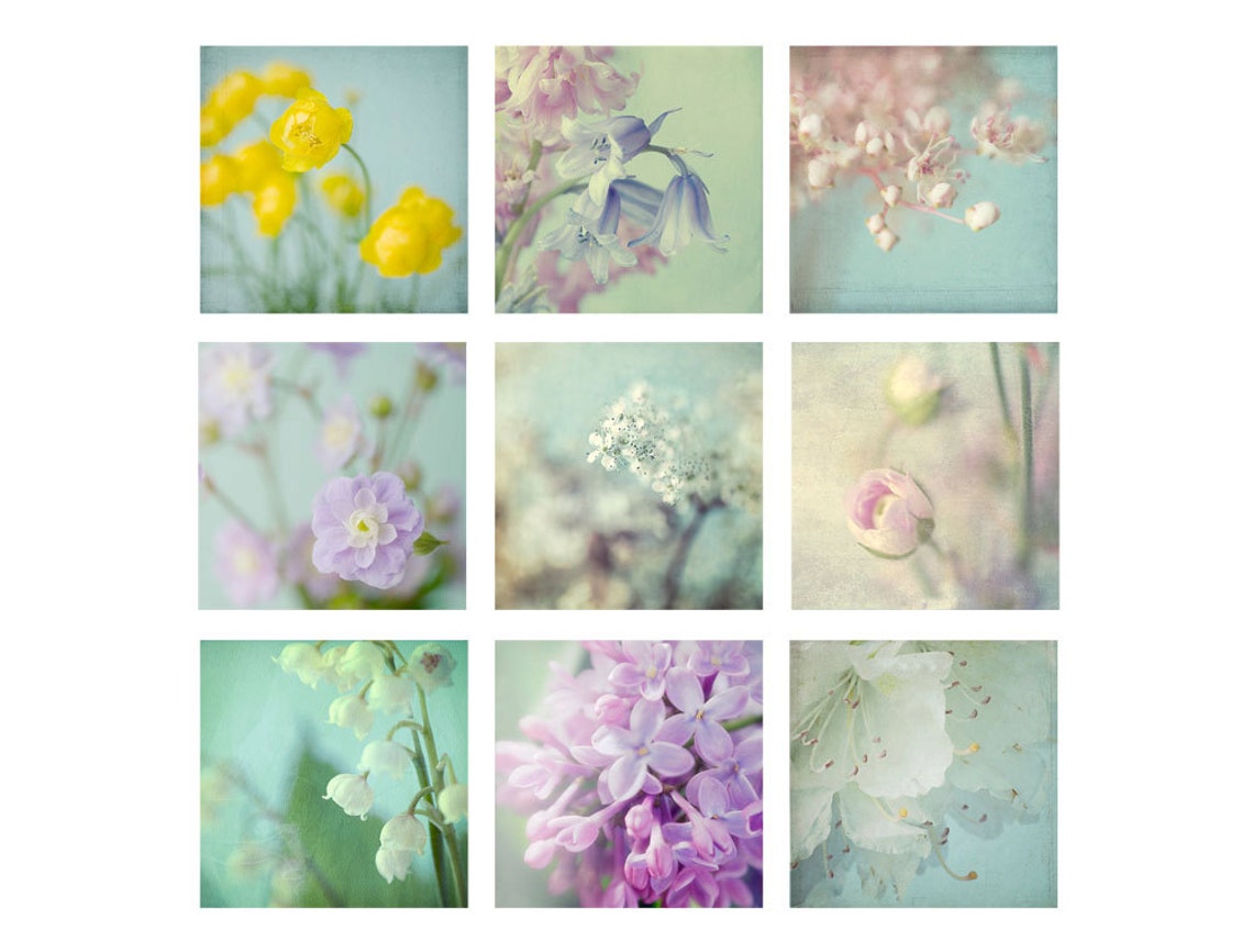 Flower Print Set of 9 Ethereal Flower Art Flower Photographs - Etsy