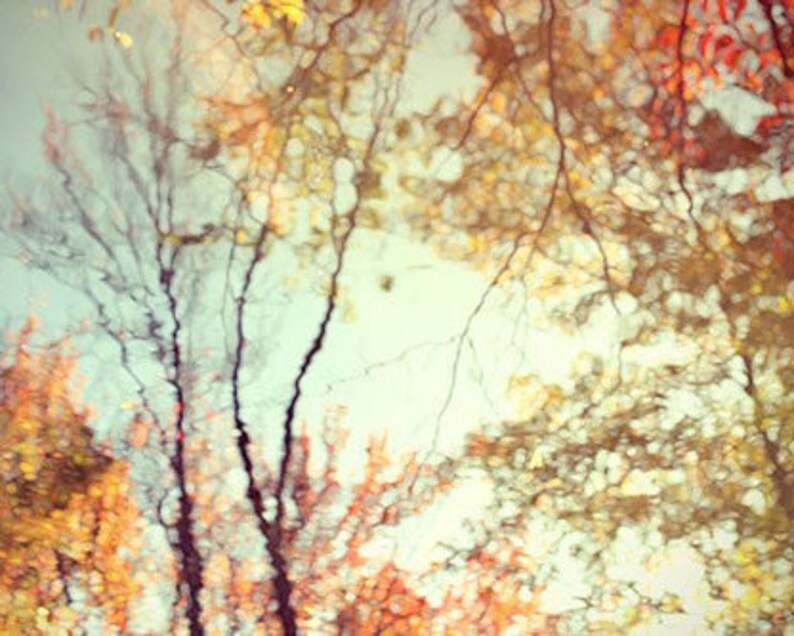 Tree Photography Abstract Art Rustic Wall Decor Fall | Etsy