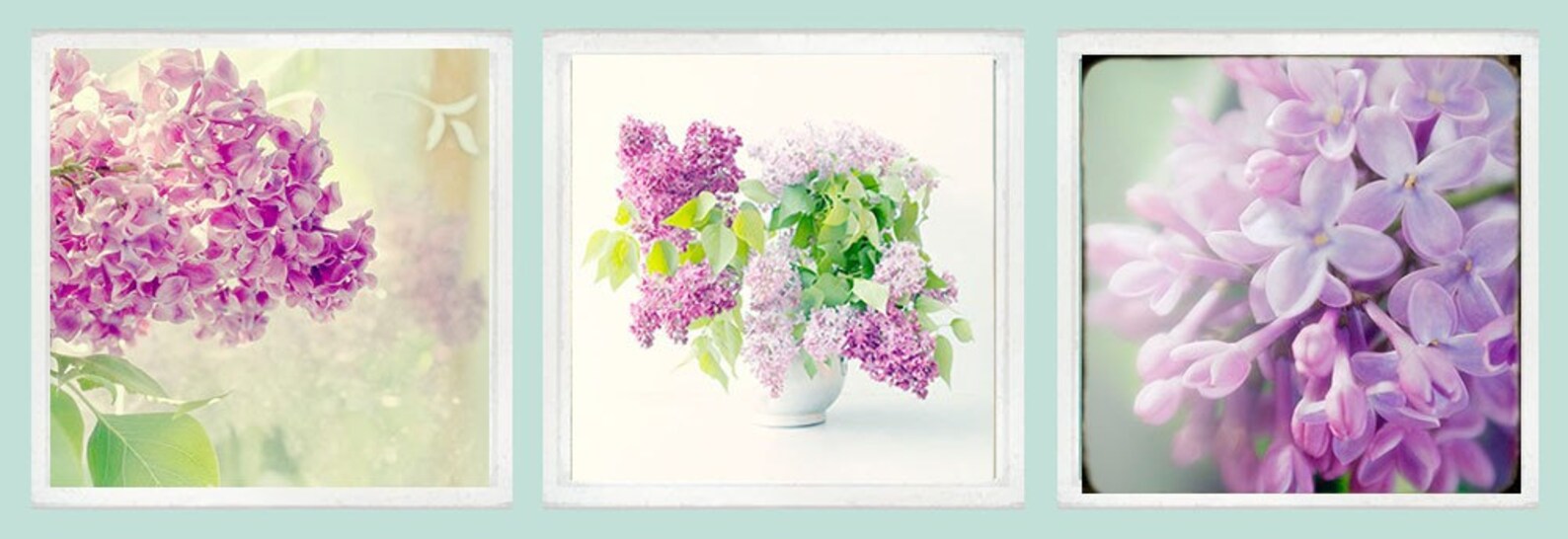 Lilac Art Print Set of 3 Flower Photographs Purple Wall Art - Etsy