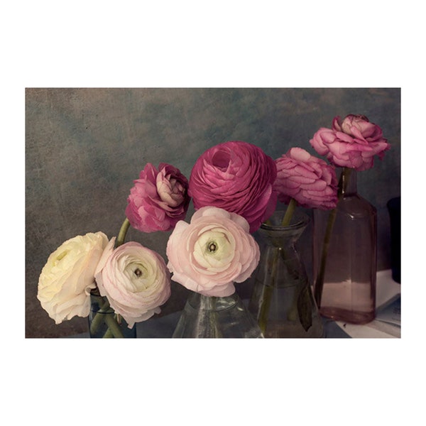 Ranunculus Art - Etsy
