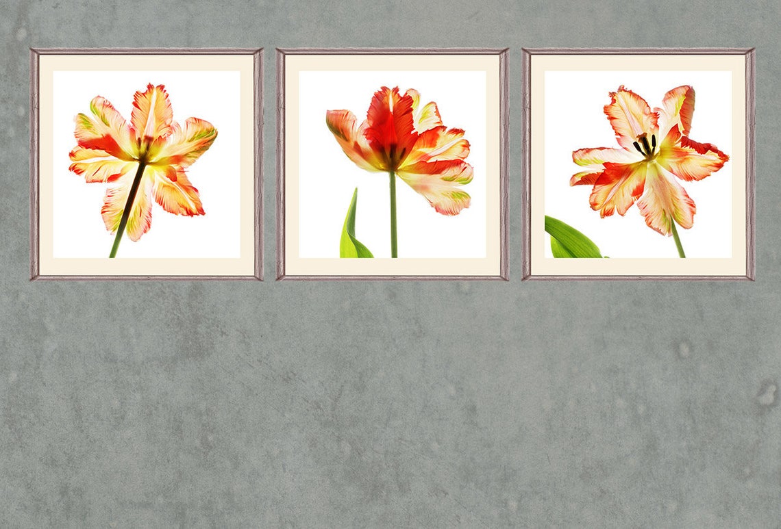 Printable Tulip Art Print Set of 3 Bright Flower Wall Art | Etsy