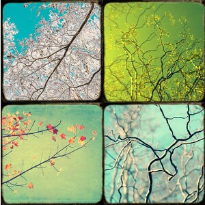 Nature Photography Mini Print Set of 12 Four Inch Prints for - Etsy