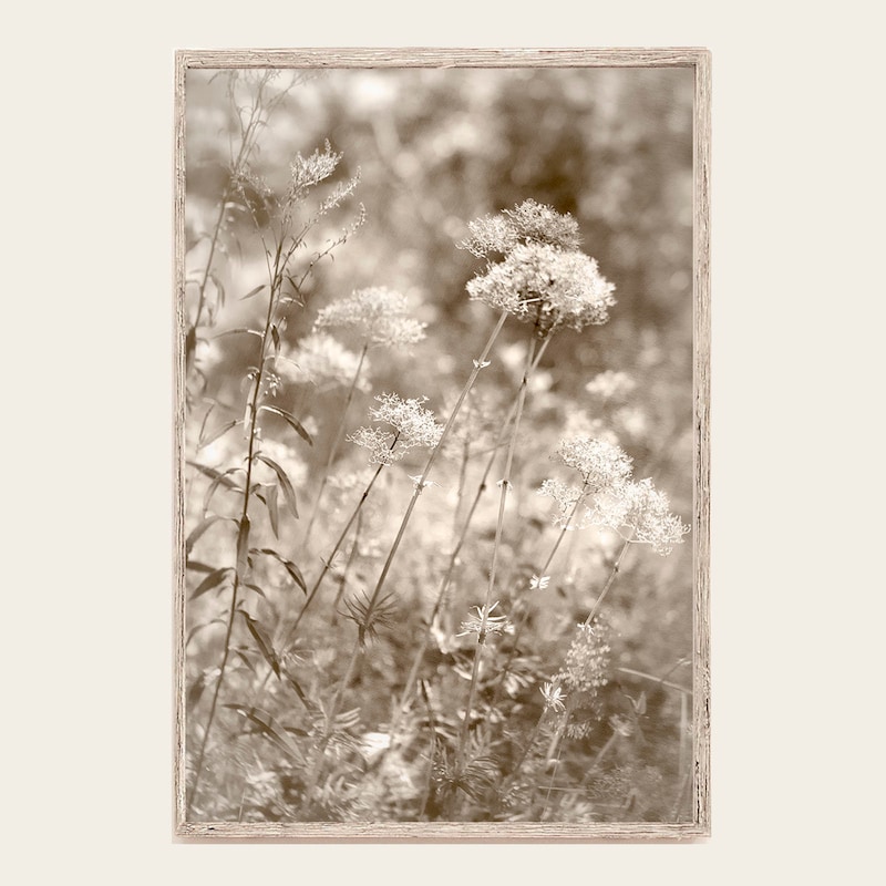 Sepia Photograph - Etsy