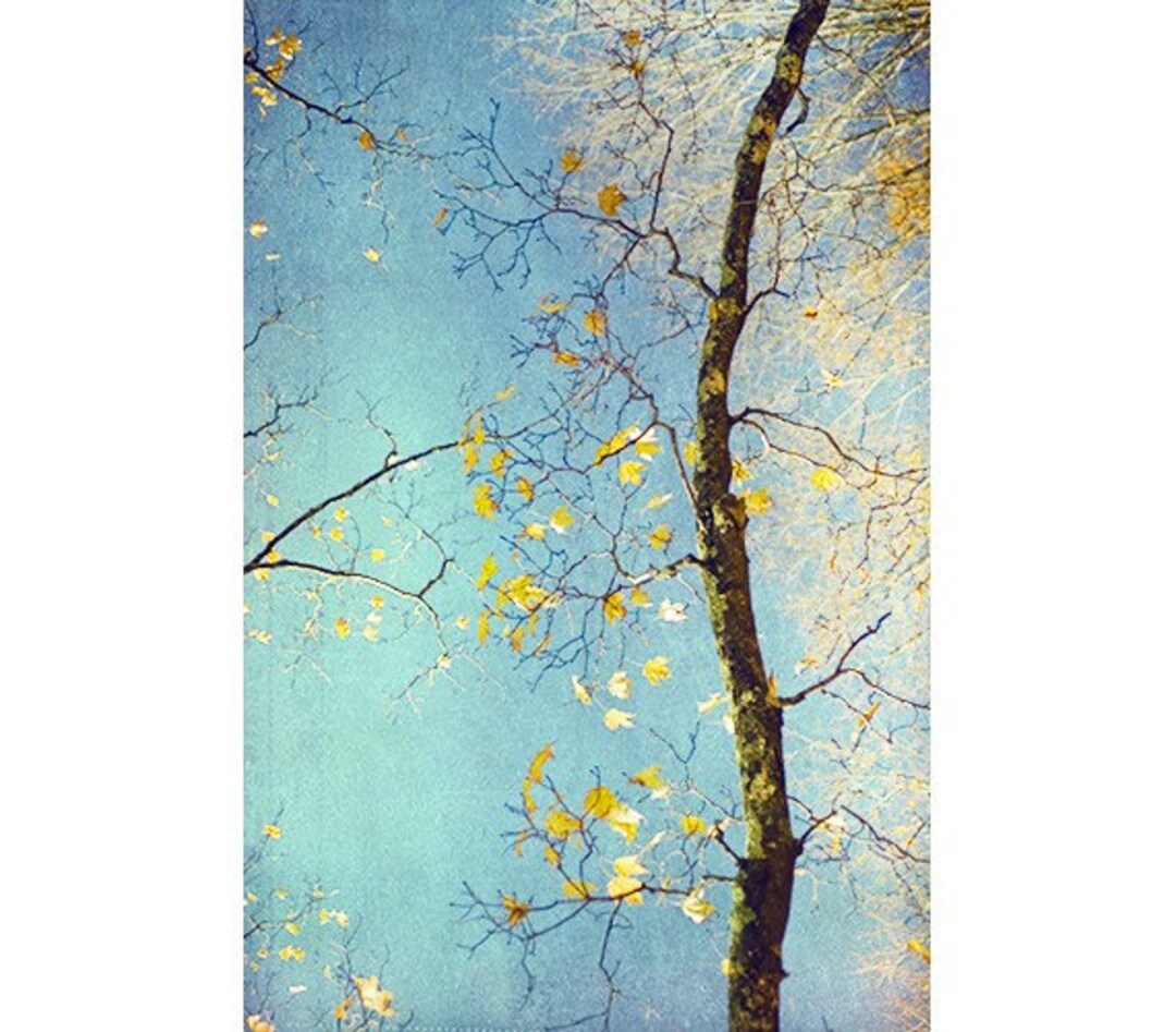 Tree Photography Abstract Print Asian Decor Foliage Print - Etsy