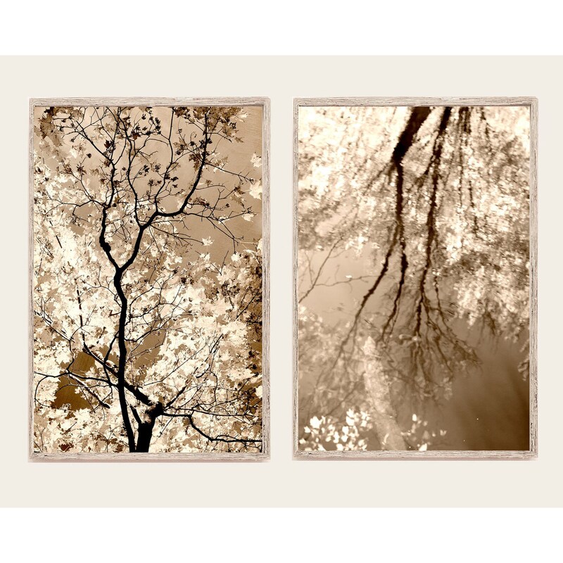 Sepia Tree - Etsy
