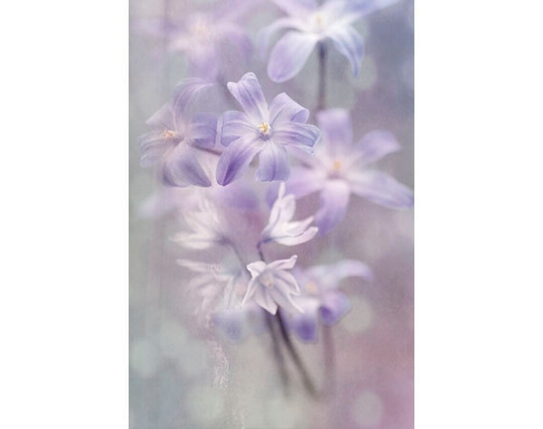 Blue Flower Card Flower Greeting Card Floral Note Card - Etsy