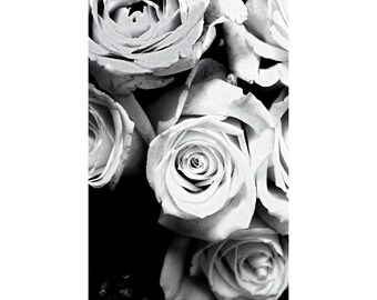 Black and White Rose, Fine Art, Print, Home and Living, Home Decor, Art ...