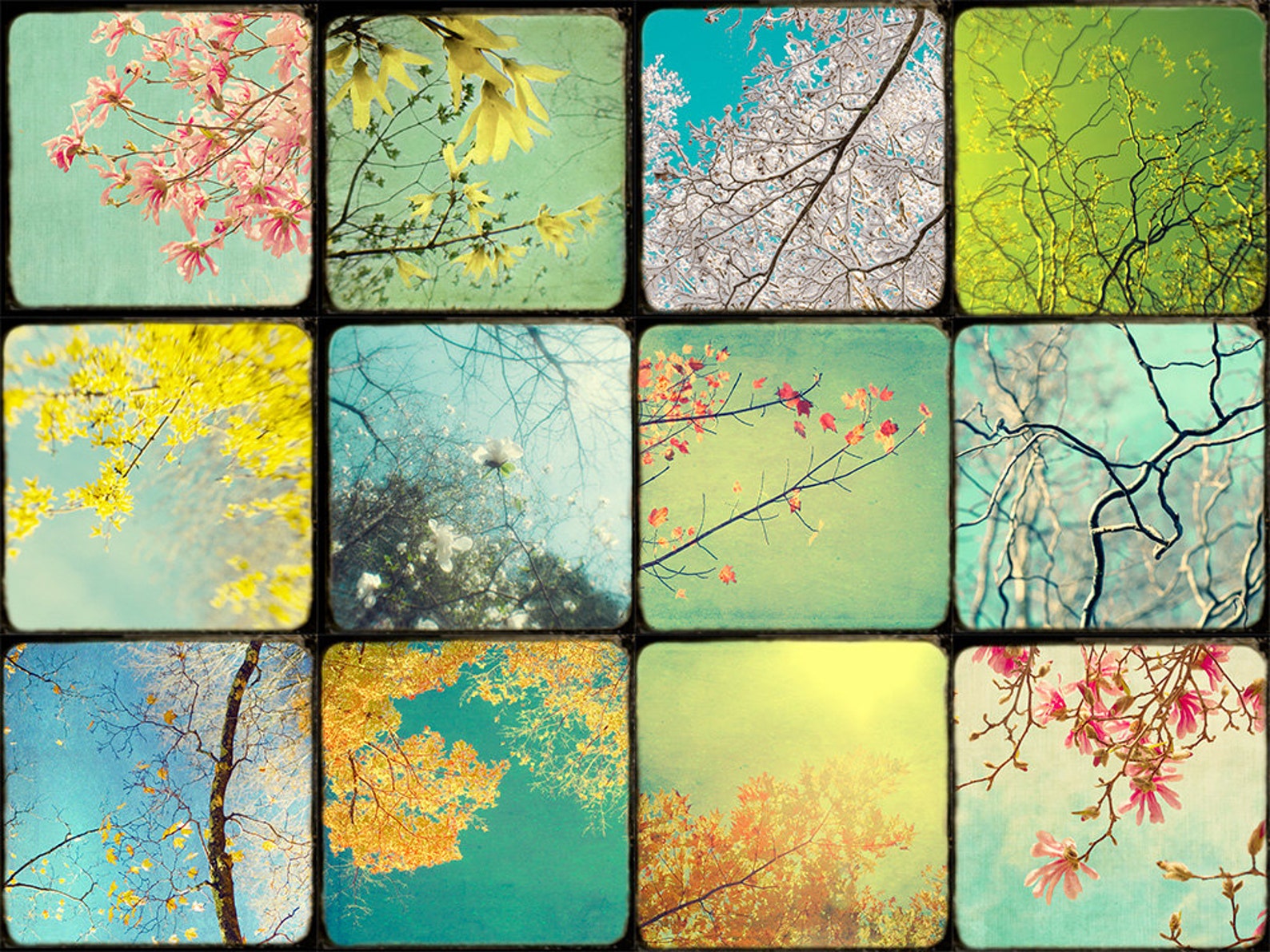 Nature Photography Mini Print Set of 12 Four Inch Prints for - Etsy