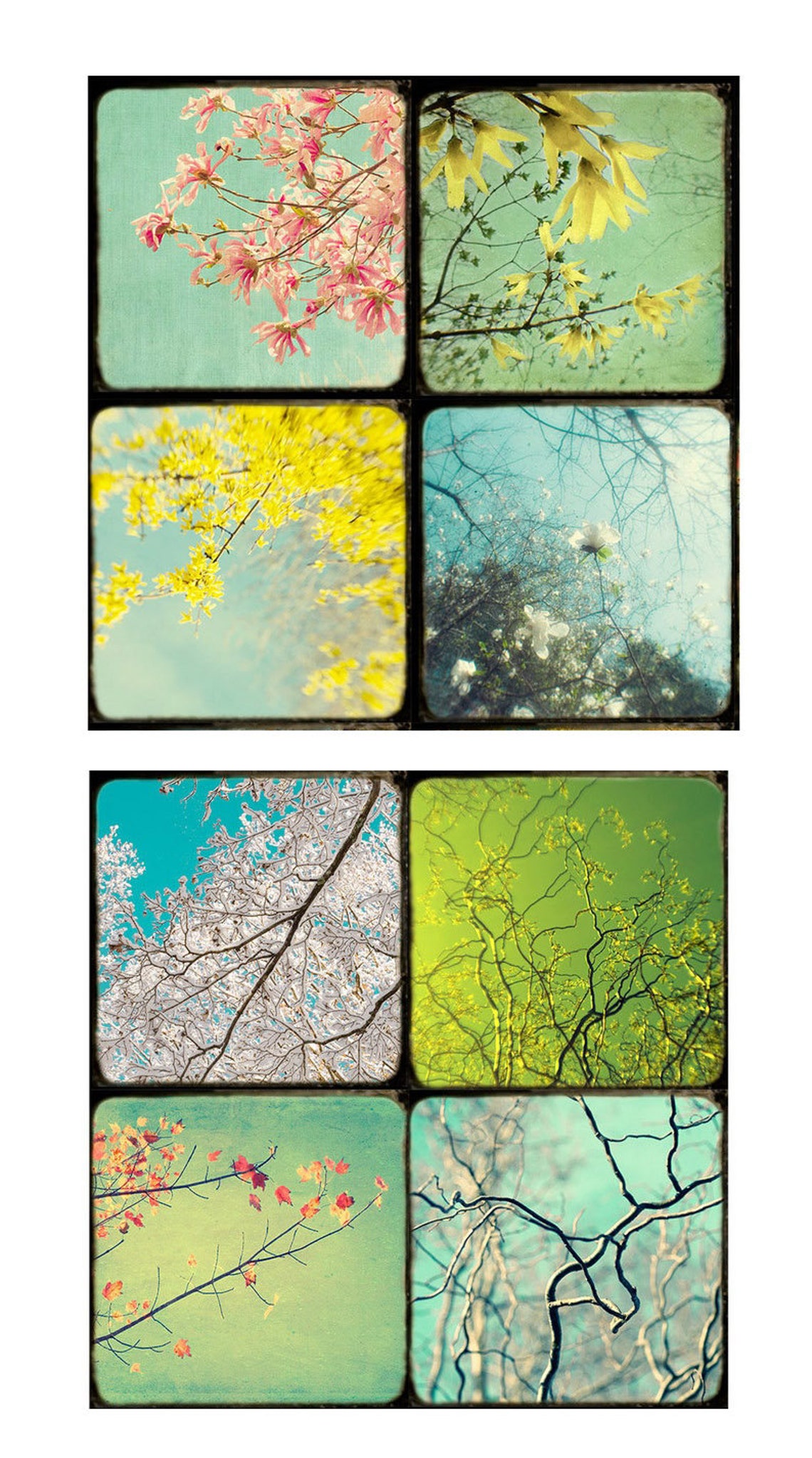 Nature Photography Mini Print Set of 12 Four Inch Prints for - Etsy
