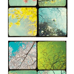 Nature Photography Mini Print Set of 12 Four Inch Prints for - Etsy