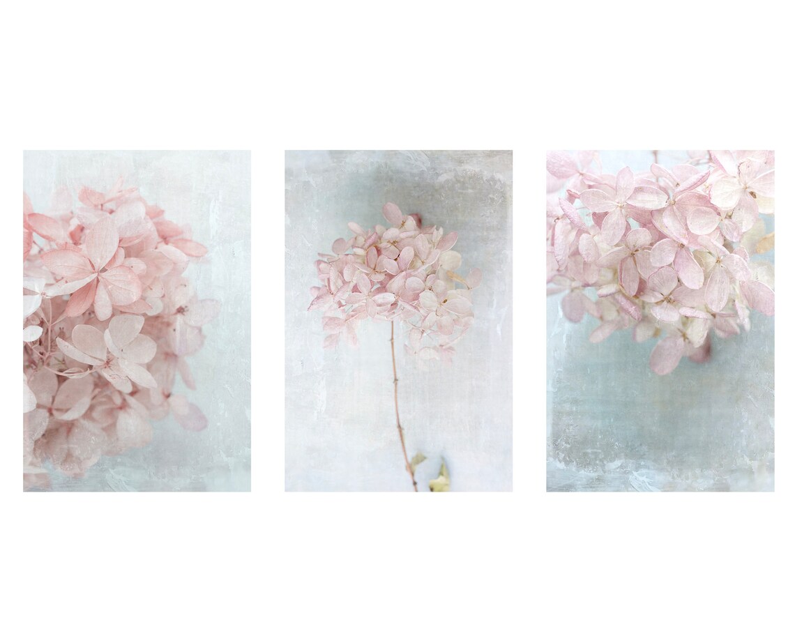 Pink Hydrangea Botanical Print Set of 3 Flower Tryptic - Etsy