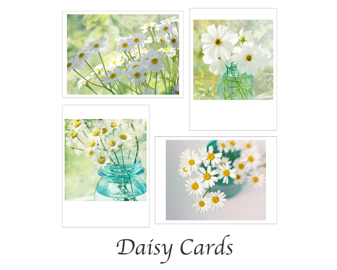 Set of 4 Blank Daisy Cards With Envelopes, Spring Daisies - Etsy