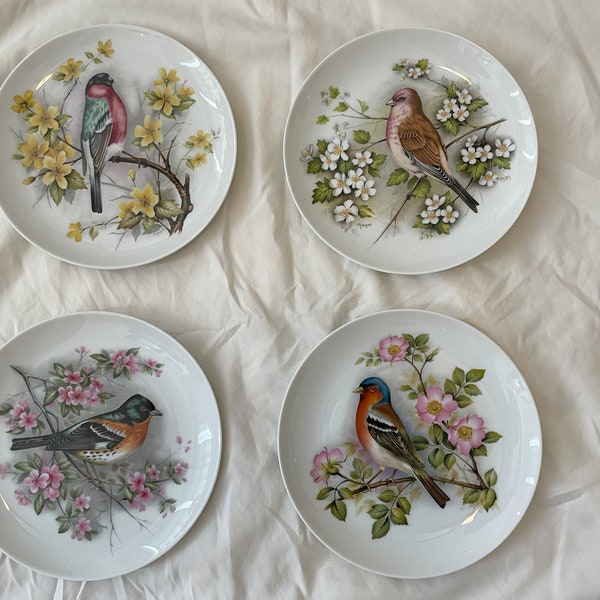 Antique Bird Plate - Etsy