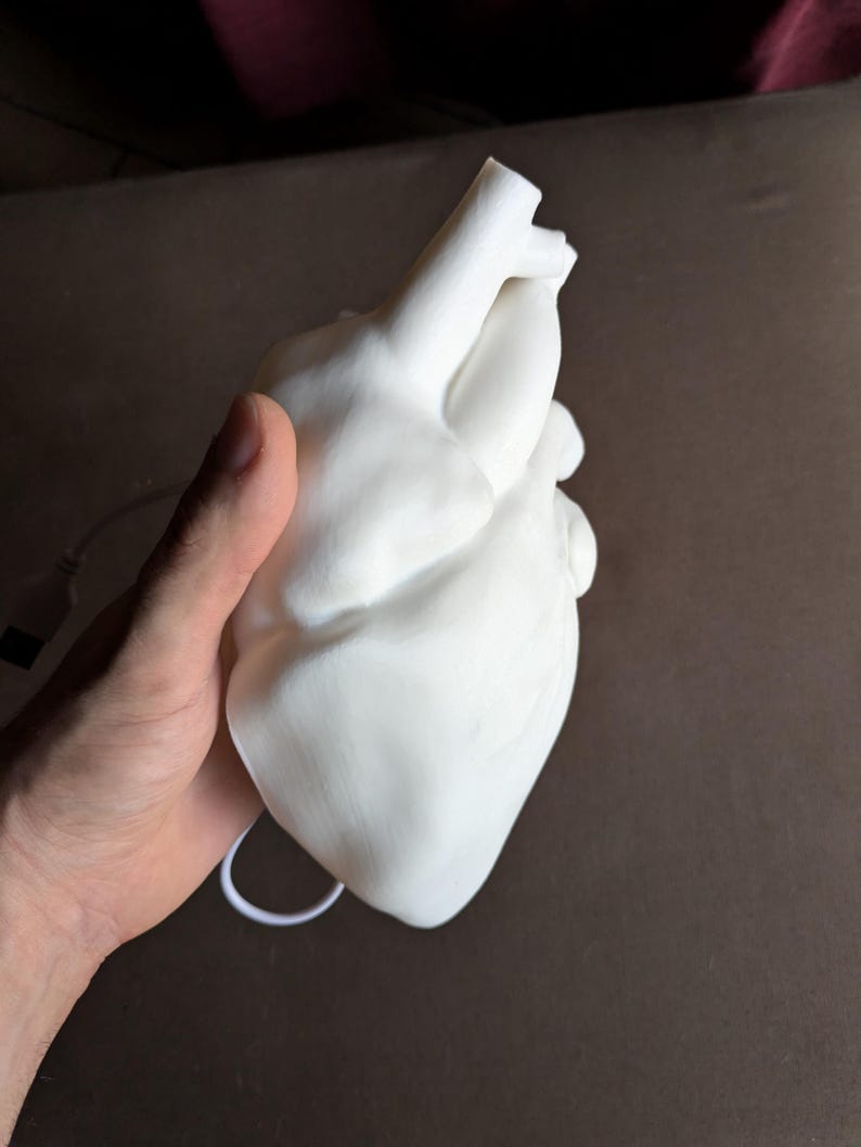 Unique 3D Printed Heart Lamp - Anatomical Art Sculpture - Etsy