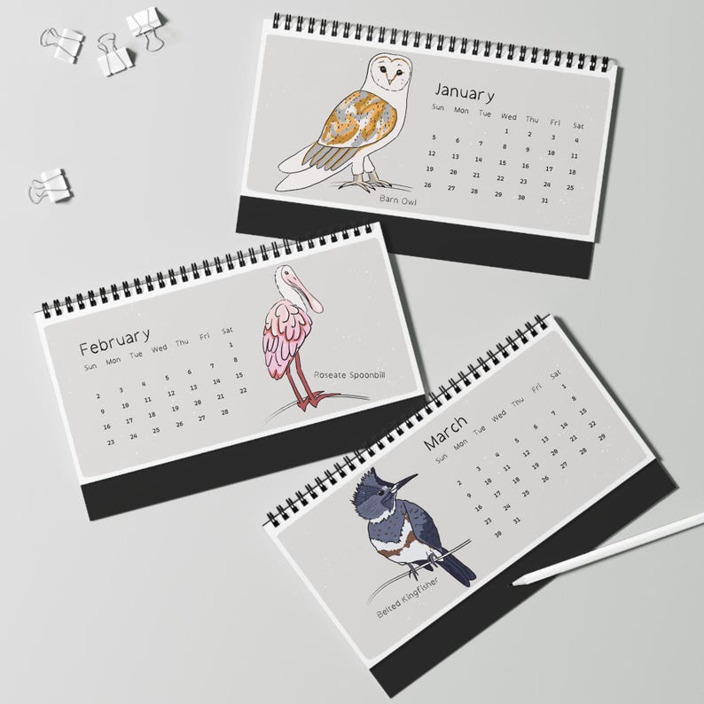 2025 Desktop Calendar Unique Birds, Hand-drawn Birds, Minimalistic ...