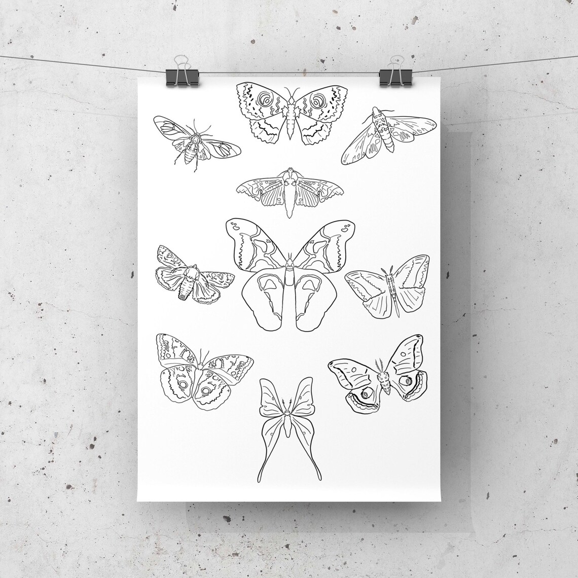 Moth Coloring Sheet ~ Moth Illustration ~ Wall Art ~ Printable Adult ...