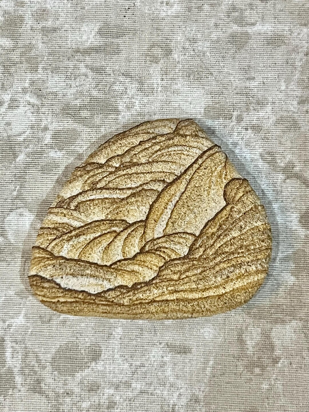 Vintage Arizona Sandstone Slice Magnet: Landscape Pattern Refrigerator ...