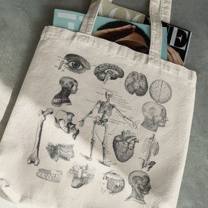 Antique Anatomy Nurse's Tote Bag Natural Canvas Tote Medical ...