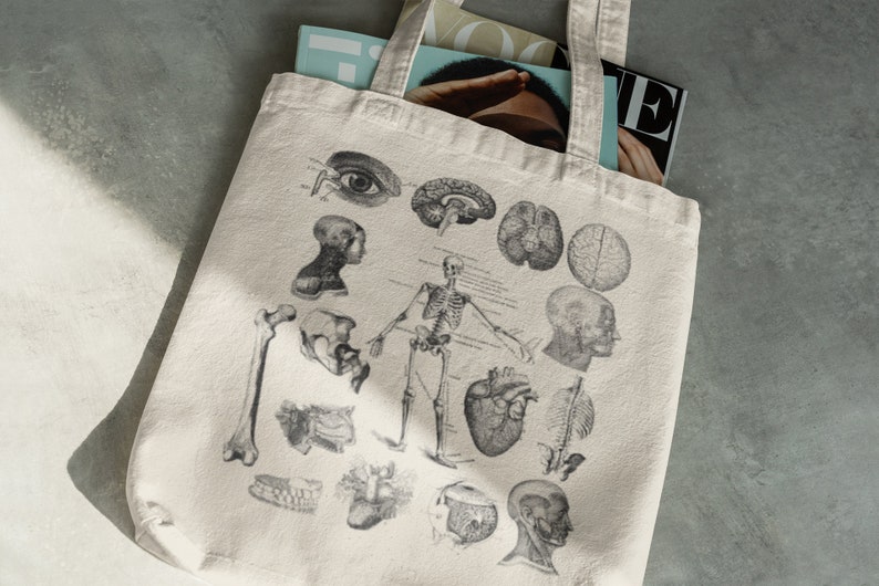 Antique Anatomy Nurse's Tote Bag Natural Canvas Tote Medical ...