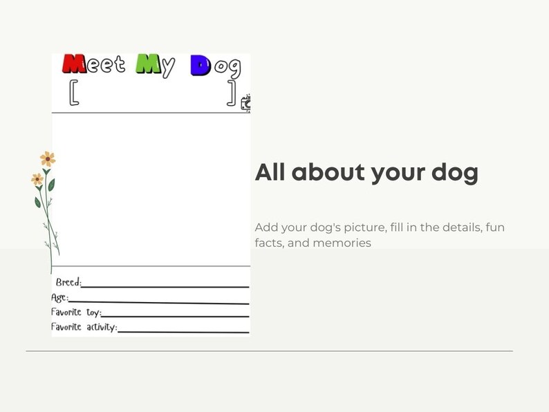 Paws & Colors Book/the Dog Lover’s Breeds Information and Their ...