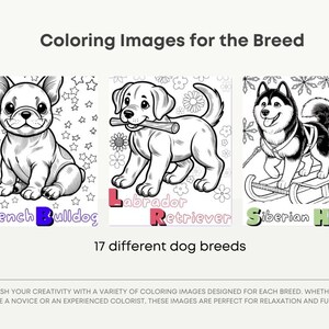 Paws & Colors Book/the Dog Lover’s Breeds Information and Their ...